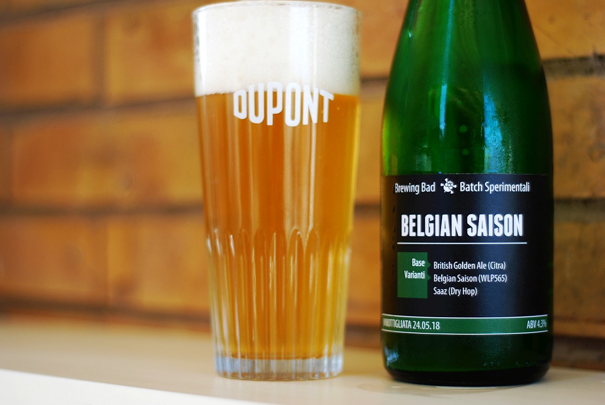 Belgian Saison / Saison